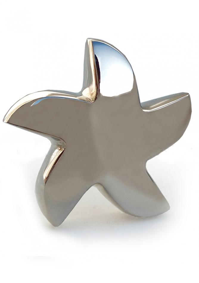 Quality & Bright Silver Star Mini Keepsake Funeral Urn for Human Ashes ...